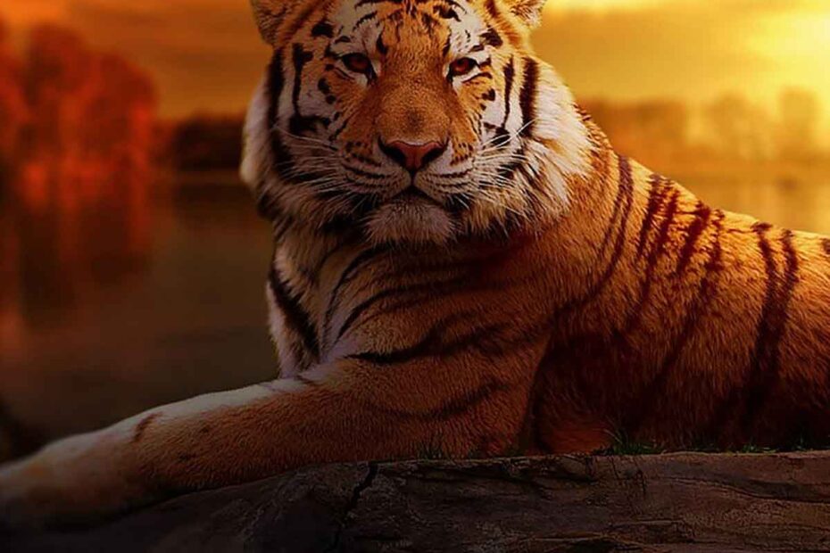 La tigre: mitologia e significato spirituale – Primordialismo Visionario