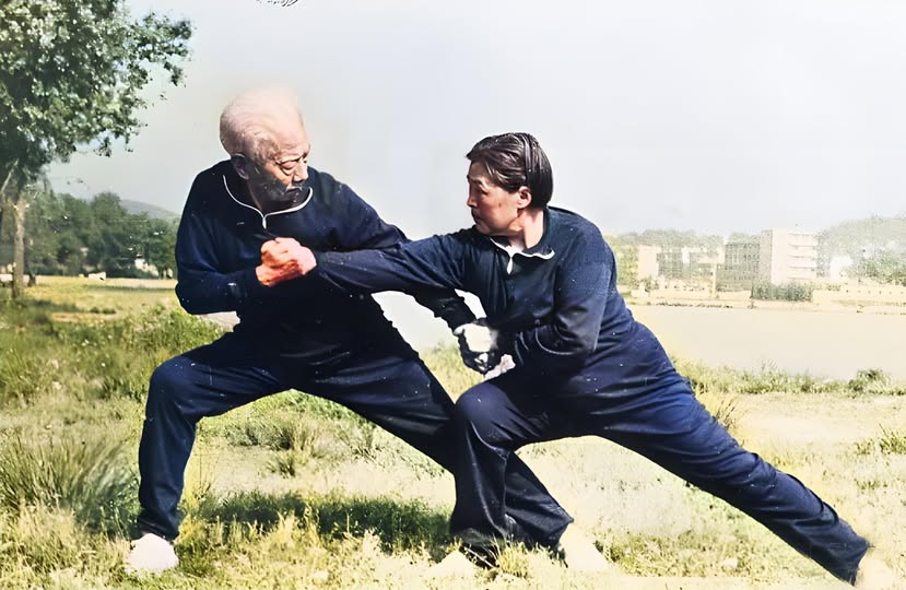 PERCHE’ LA GENTE DICE KUNG FU? – Primordialismo Visionario